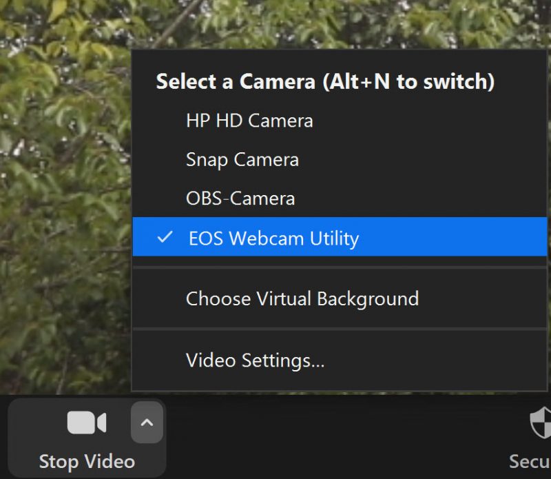 Using Canon's Webcam App with a 5D Mark IV